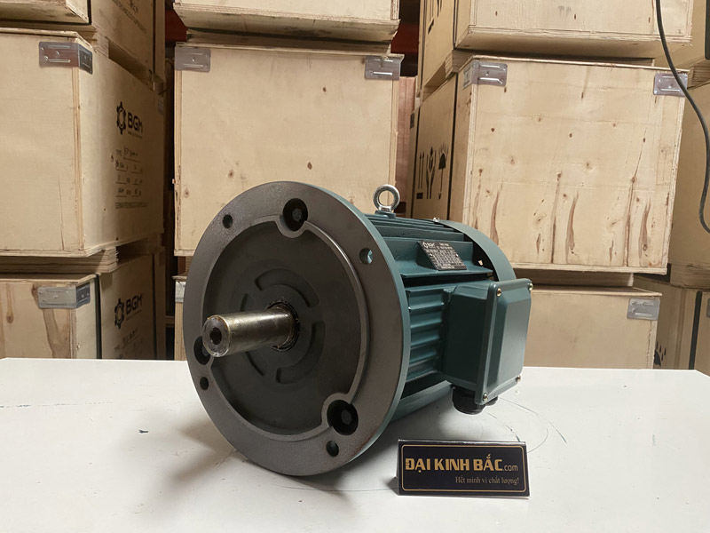 Motor điện YE2-100L-6 1.5kw